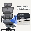 Professional Ergonomic Office Chair | Comfortable Chair C7M | Flexispot